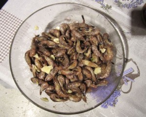 polenta with schie | Venice: I am not making this up