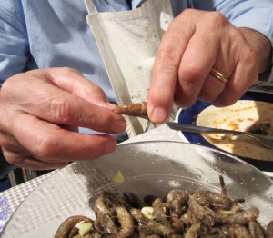 polenta with schie | Venice: I am not making this up