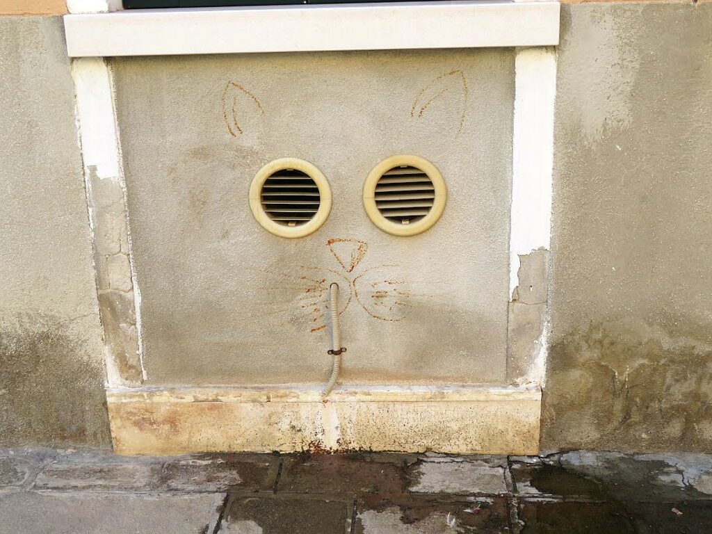 Venice: I am not making this up