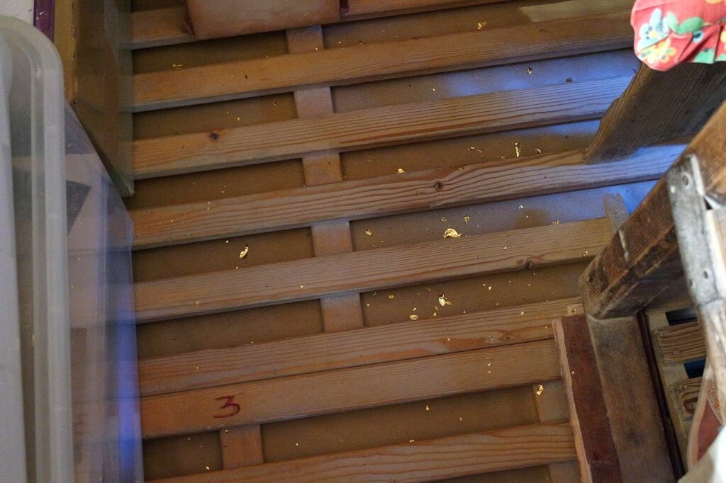 Venice: I am not making this up